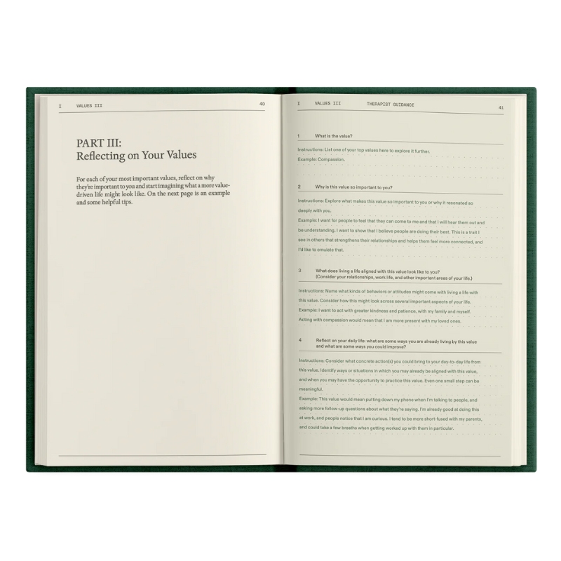 The Field Guide for Depression Journal – Self Cared